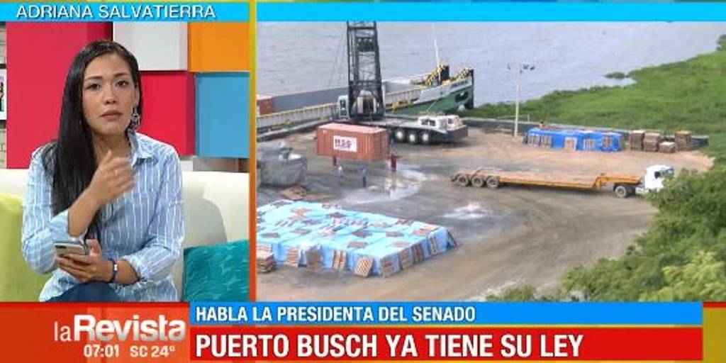 Ley de Puerto Busch buscaría cortar la dependencia que se tiene con ...