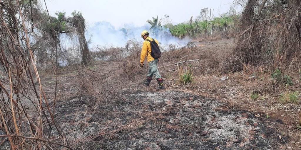En Roboré el fuego consumió 34 hectáreas durante tres días de incendios