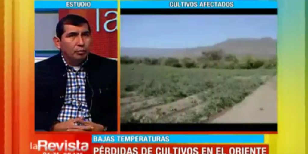 Pérdidas de hasta Bs. Cinco millones por las heladas en los valles cruceños