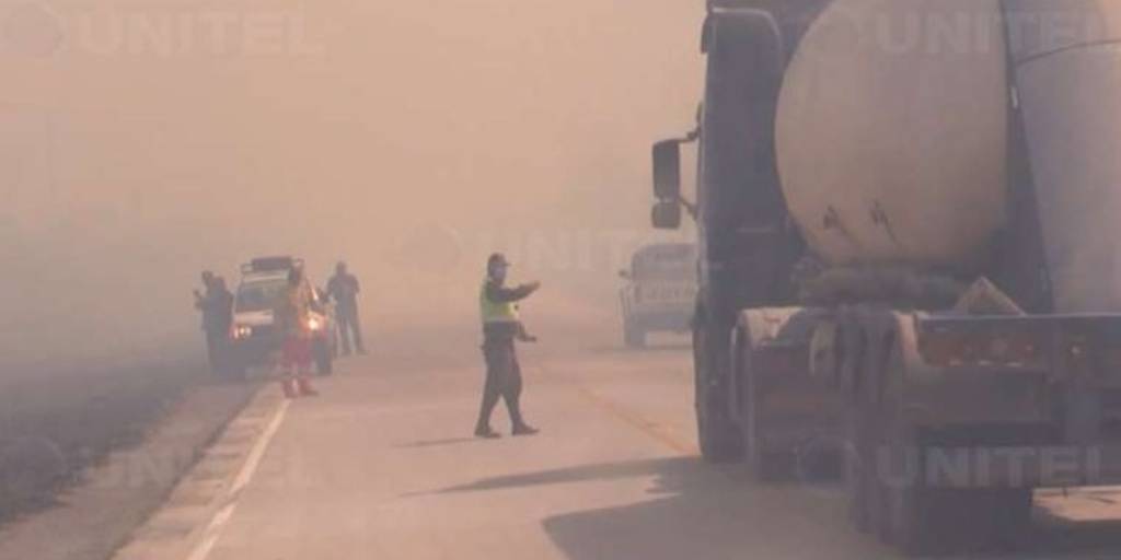 Roboré sufre por los incendios forestales que han consumido 15.000 ...