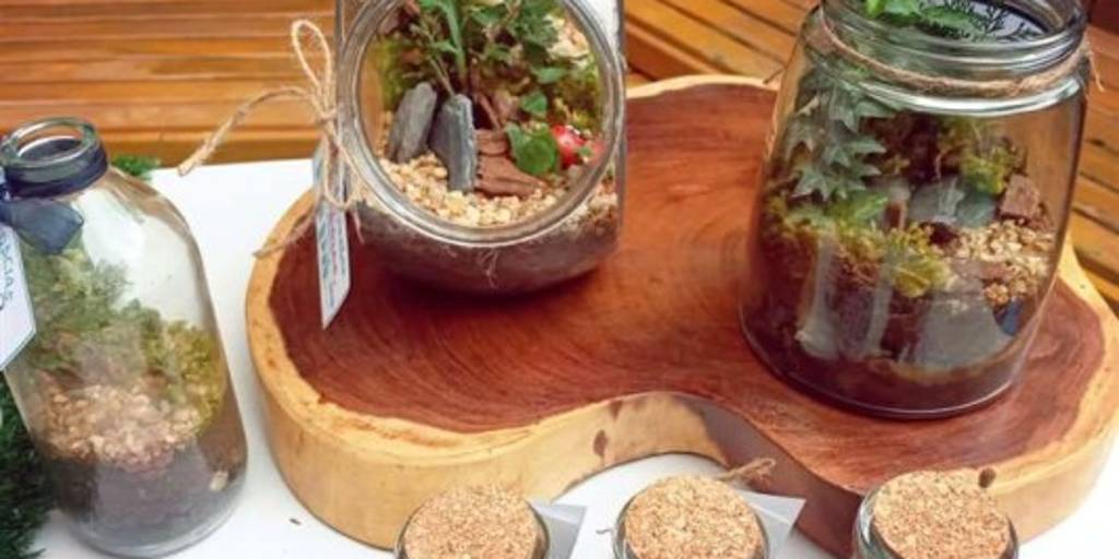 Aprendemos a realizar un terrario cerrado autosustentable