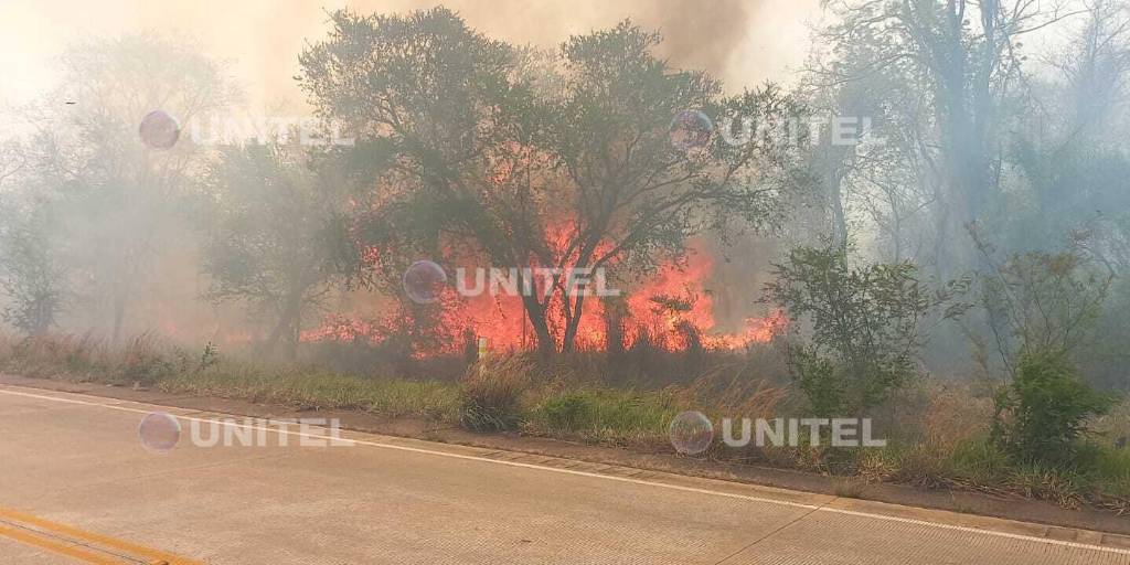 Roboré: Bomberos combaten incendio forestal a orillas de la carretera ...