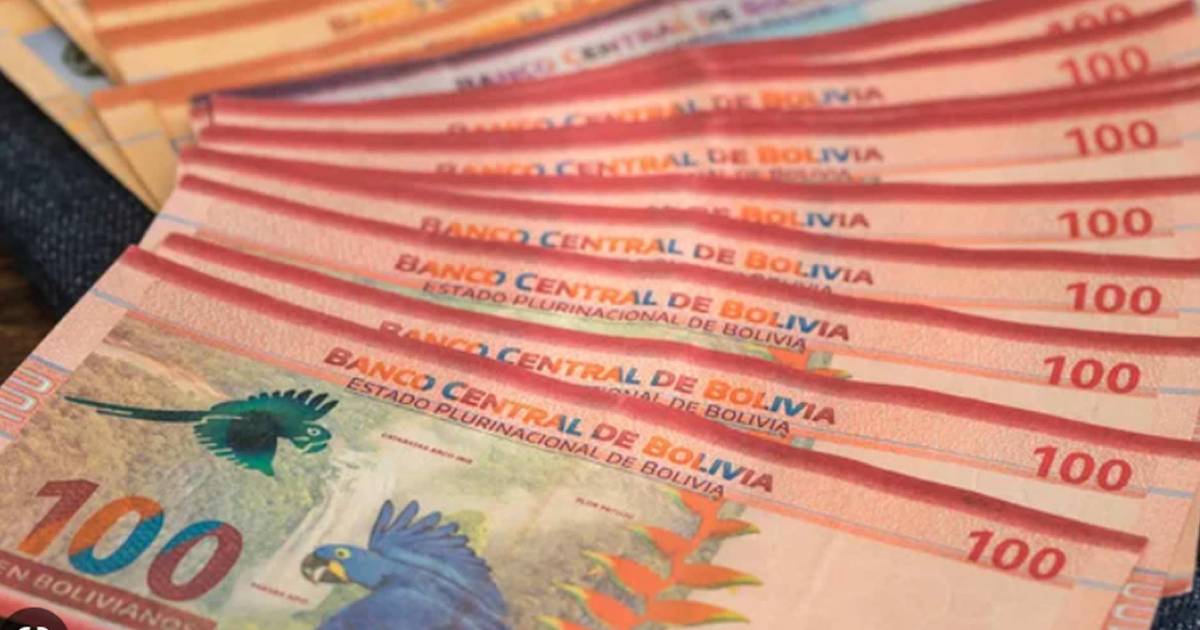 Arce defiende su modelo de gestión y dice que “la economía boliviana ...