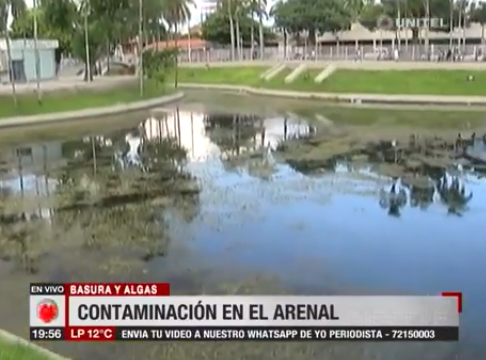 Contaminación en el parque El Arenal, basura y algas dan mal aspecto