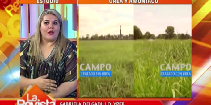 YPFB alista la inauguración de la primer planta de urea y amoniaco en ...