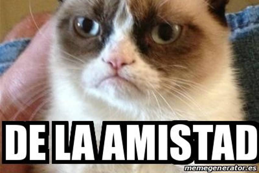 Día de la Amistad: Los mejores memes para saludar a los amigos