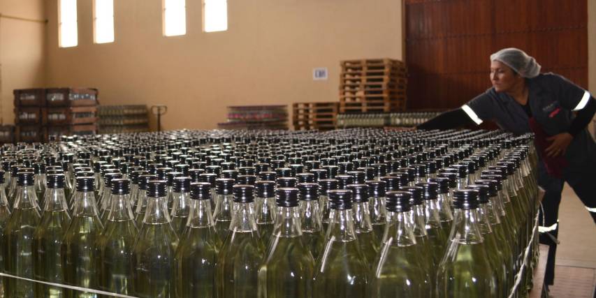 EEUU reconoce el singani como producto “hecho en Bolivia” y registra su ...